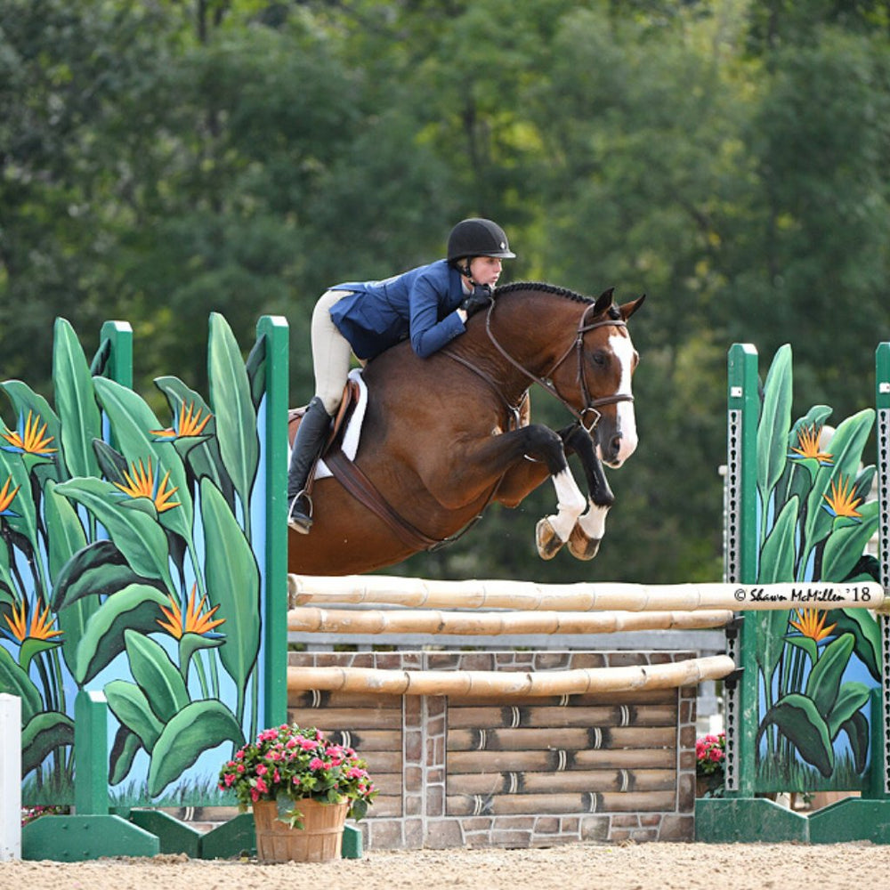 Calverro Welcomes Karli Postel as a Brand Ambassador